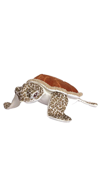 Tall Tails Animated Dog Toy: Sea Turtle – Pampered Puppies